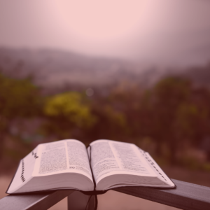 #1167 • (dabar) | Paleo-Hebrew Dictionary